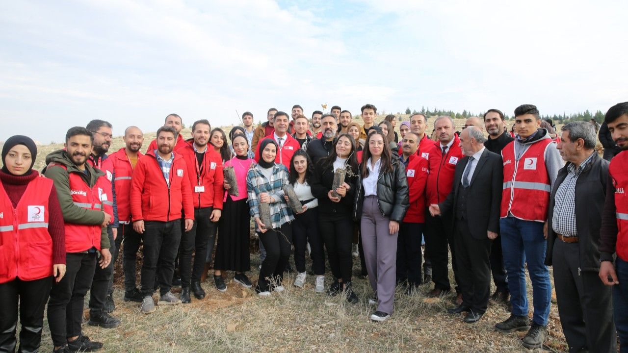 Mardin'de 1000 fıstık fidanı toprakla buluşturuldu - Dünya Gazetesi